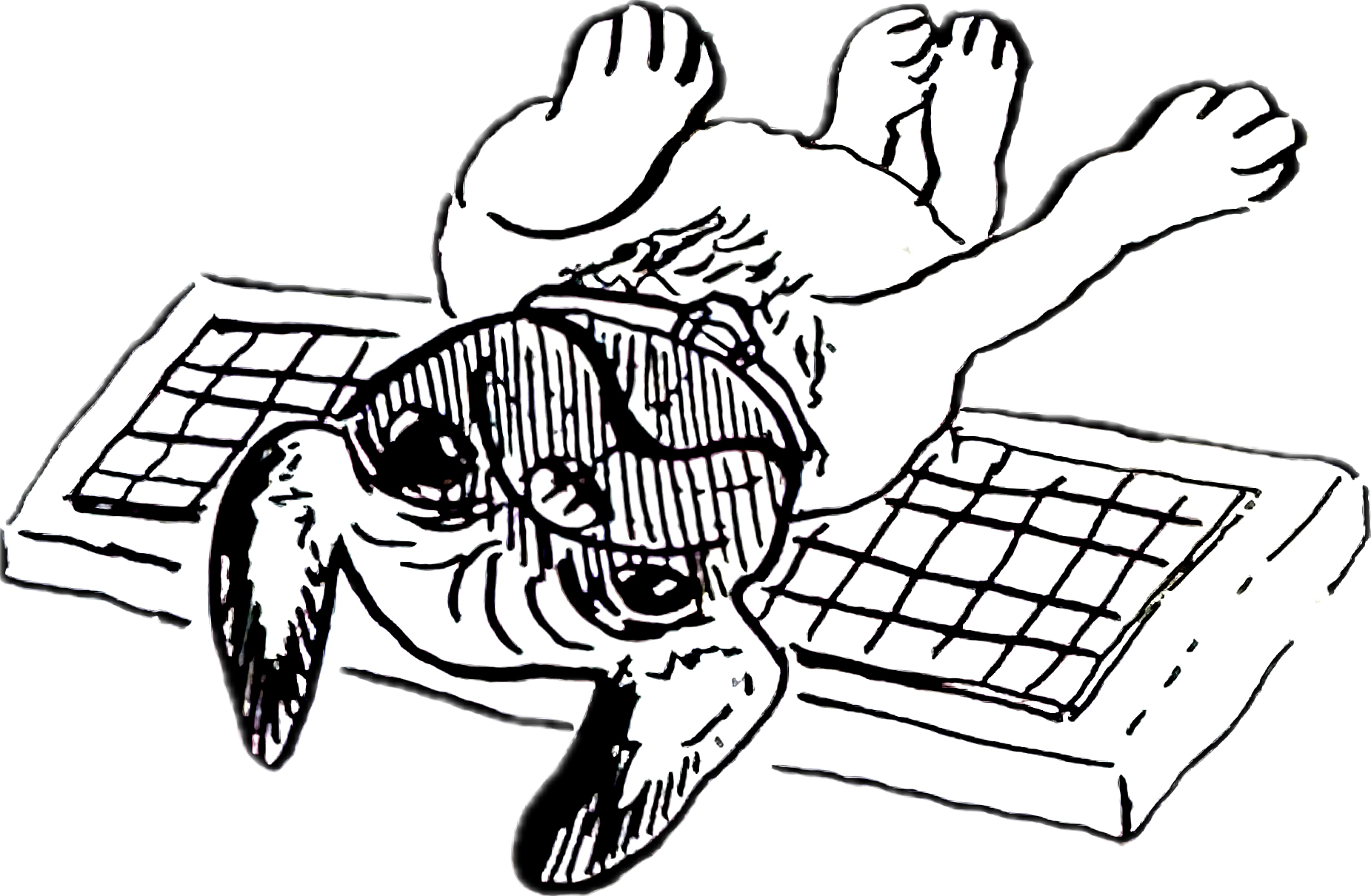 OCAD University (OCAD U) Map